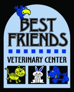 ProBNP Testing In Cats | Best Friends Veterinary Center